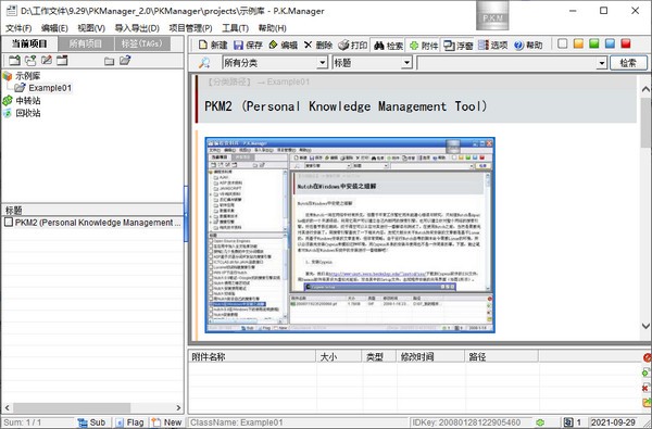 P.K.Manager电脑端官方正版2025最新版绿色免费下载安装