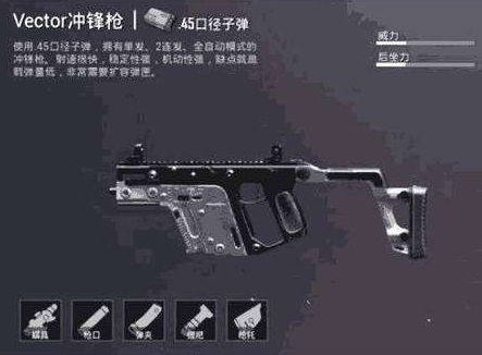 和平精英Vector全面解析 这把枪50米内无敌_历趣
